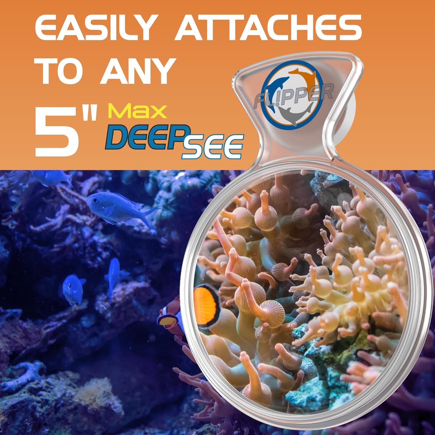 DeepSee Viewer Clear Max 5" - Orange Filter – Aquatic Oasis Reefing